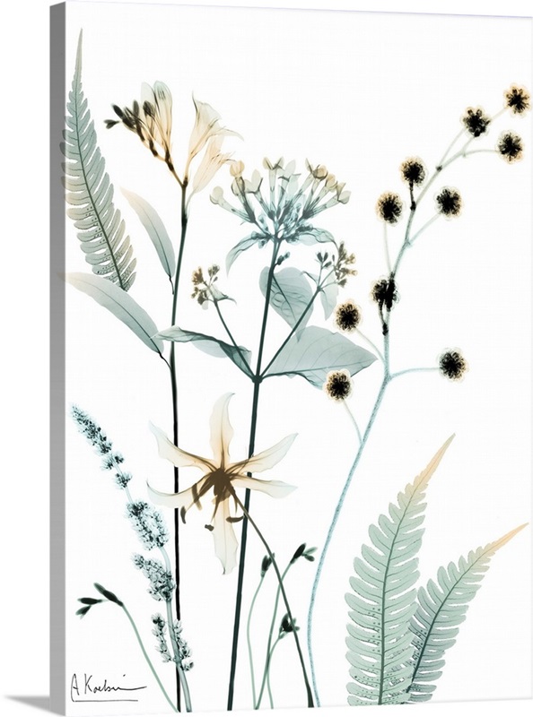 Proud Growth 2 | Great Big Canvas