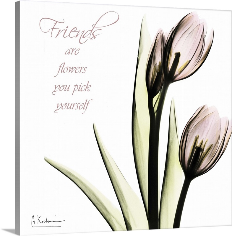 Tulip Friends x-ray photography | Great Big Canvas