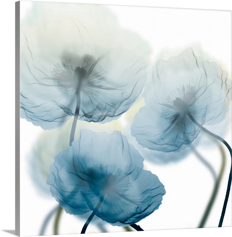 Unfocused Beauty 1 | Great Big Canvas