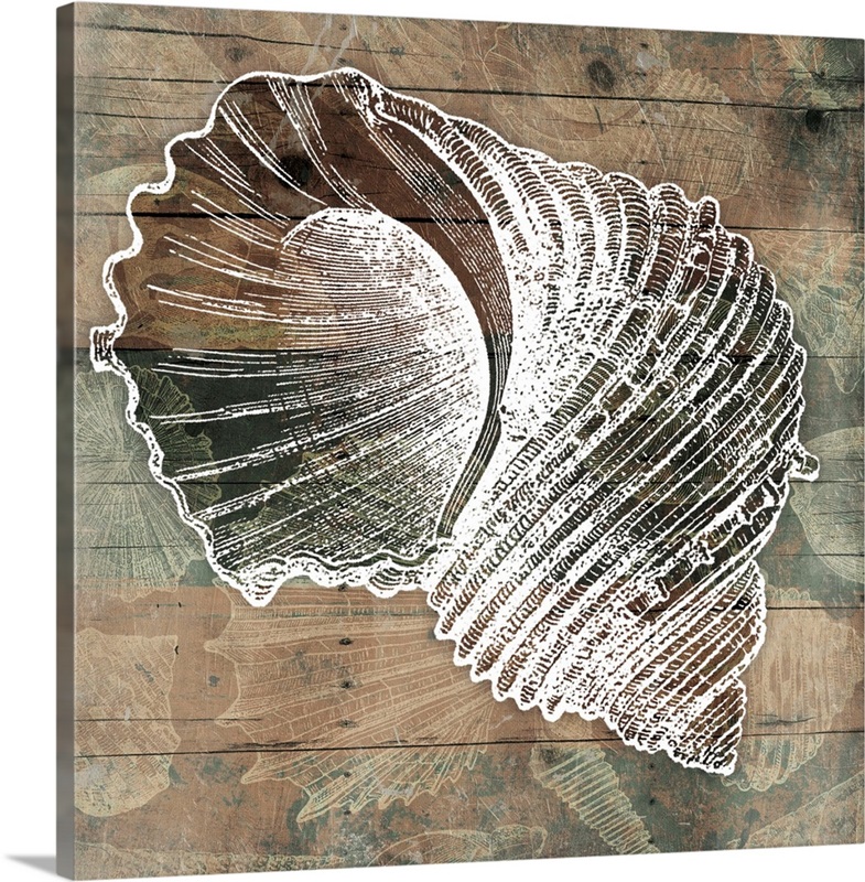 Vintage Wood Coastal Shell II | Great Big Canvas