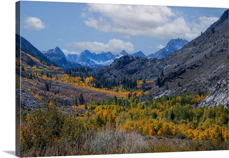 Sabrina Basin | Great Big Canvas