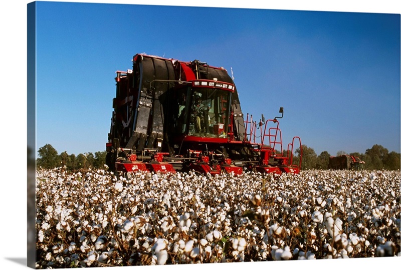 A Case IH Module Express 625 (on board module maker) cotton picker ...