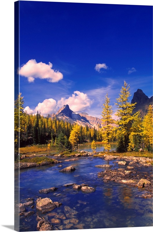 A Scenic Creek | Great Big Canvas