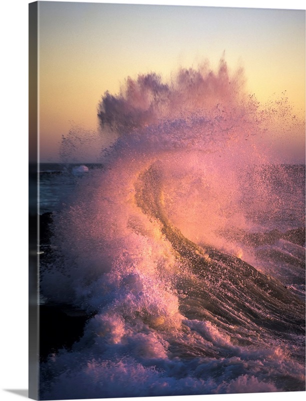 A wave glowing pink breaks on the shore at sunset, Yachats, Oregon ...