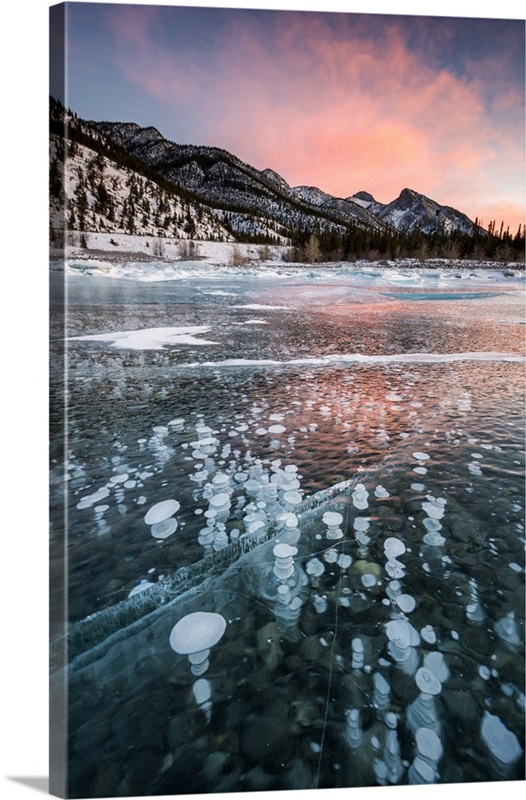 Abraham Lake In Winter With Frozen Methane Bubbles In The Canadian ...