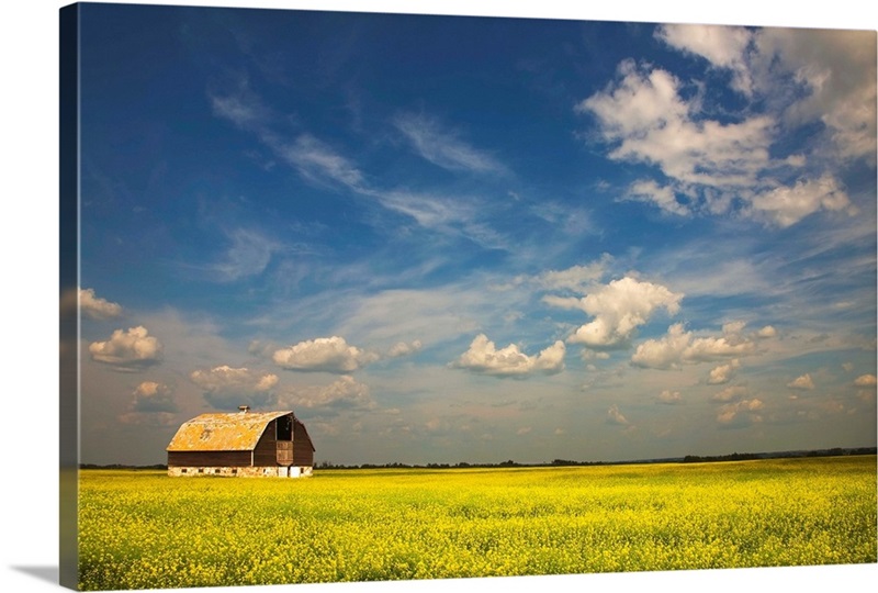 Alberta, Canada; An Old Barn In A Field | Great Big Canvas