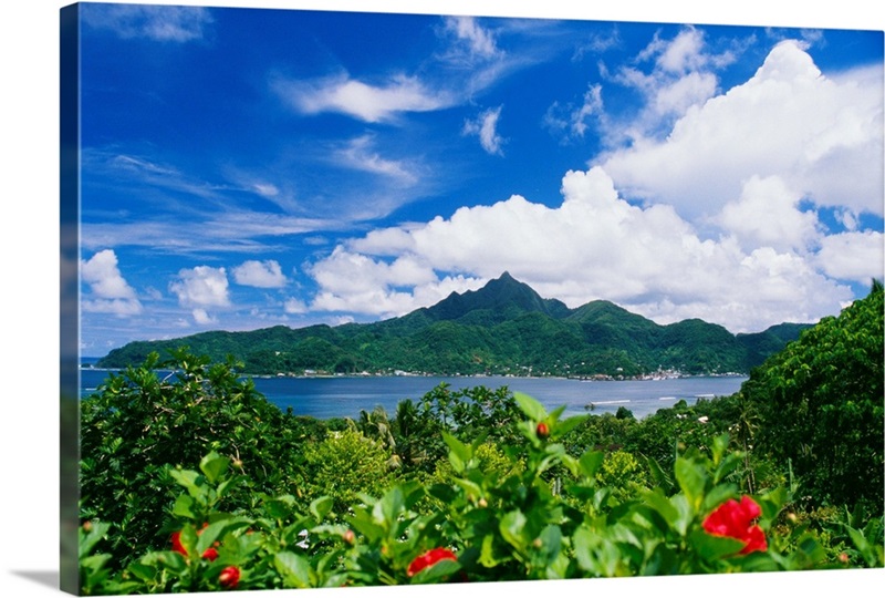 American Samoa, Pago Pago Harbor, Greenery And Flowers, Clouds I ...
