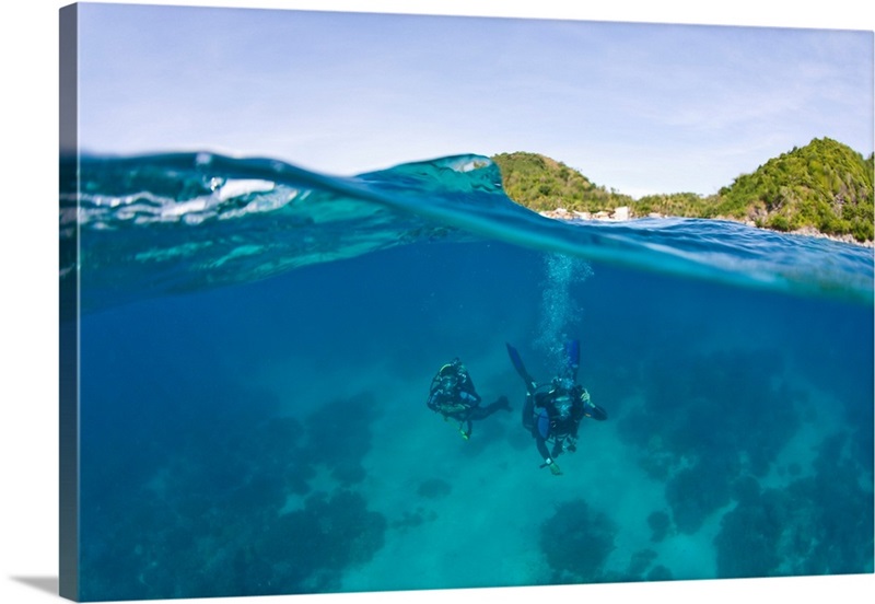 Apo Island Marine Park, Negros Oriental Island Philippines, Southeast ...