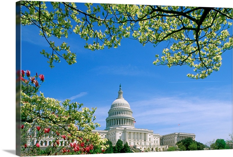 Capitol Building Washington, DC, USA | Great Big Canvas
