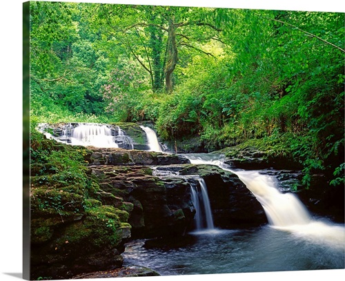 Clare Glens, Co Limerick, Ireland; Irish Landscape | Great Big Canvas
