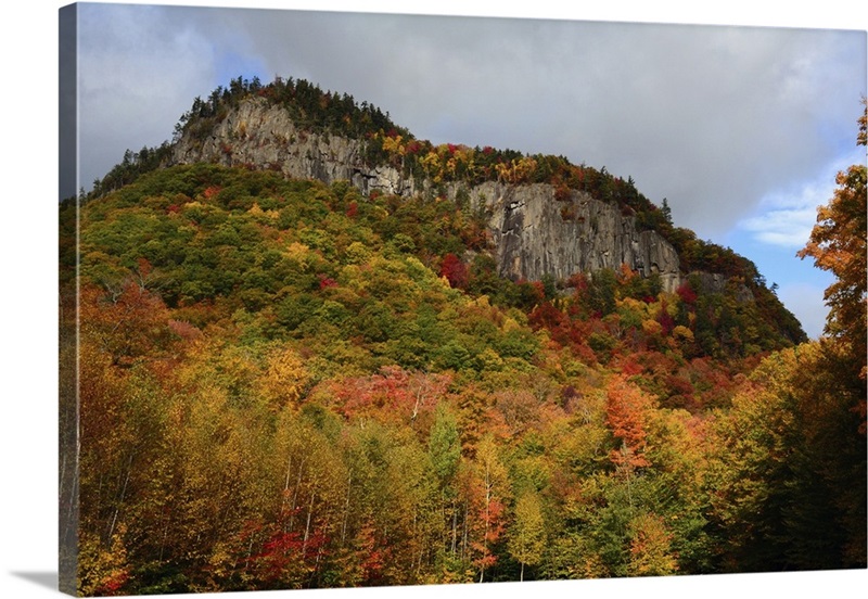 Fall Foliage In The White Mountains, Crawford Notch State Park, New ...