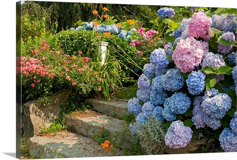 Flowers in a Cape Cod garden with stone steps.; Sandwich, Cape Cod ...