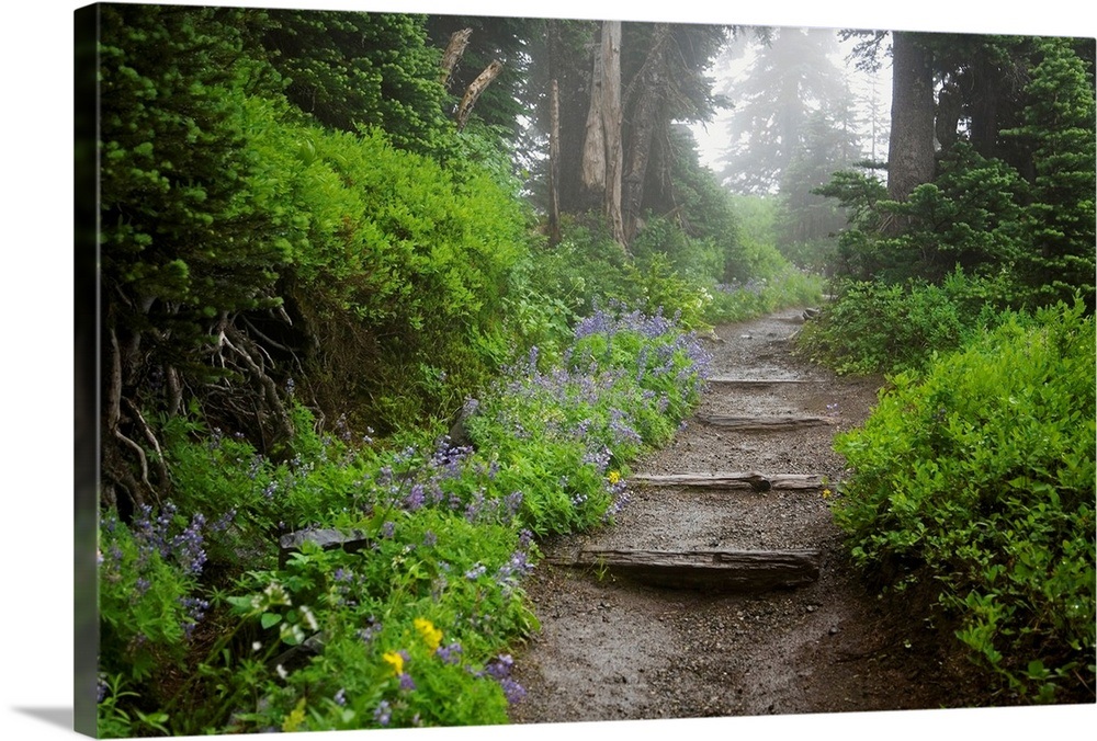 Foggy Forest Path Wall Art, Canvas Prints, Framed Prints, Wall Peels ...