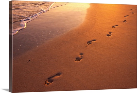 Footprints In Sand At Sunset Wall Art Canvas Prints Framed Prints Wall Peels Great Big Canvas