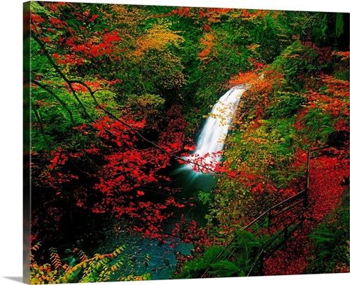 Glenoe Waterfall And Glen, County Antrim, Ireland | Great Big Canvas