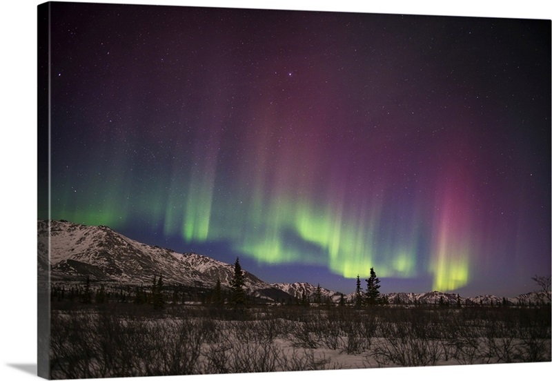 Green And Pink Aurora Borealis Over The Alaska Range, Denali National ...