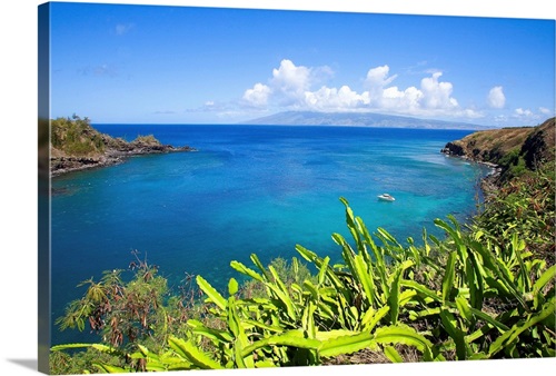 Hawaii, Maui, Honolua Bay, Green Brush Overlooking Bright Blue Water ...