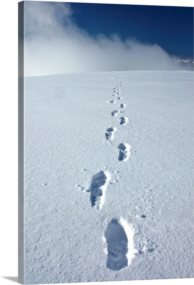 Hikers boot tracks in snow leading up to Primrose Ridge, Winter in ...