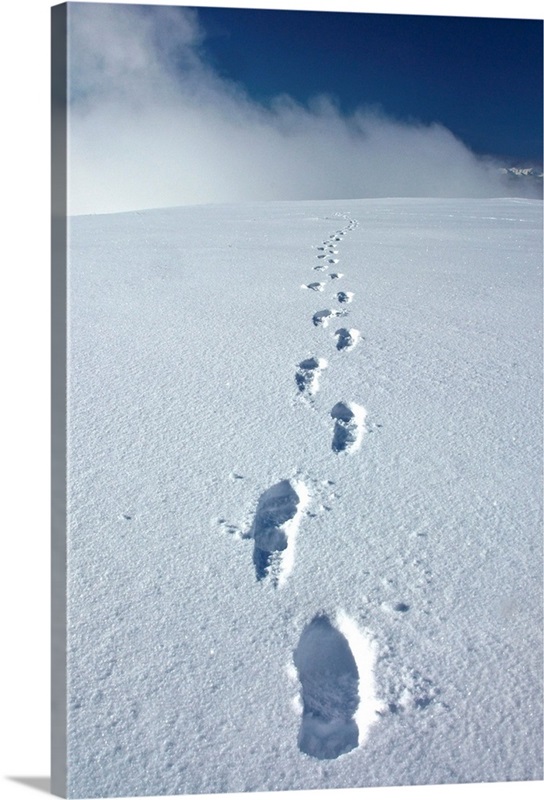 Hikers boot tracks in snow leading up to Primrose Ridge, Winter in ...