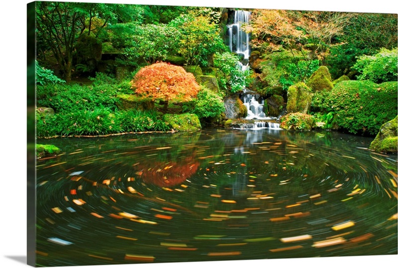 Koi Pond, Oregon | Great Big Canvas
