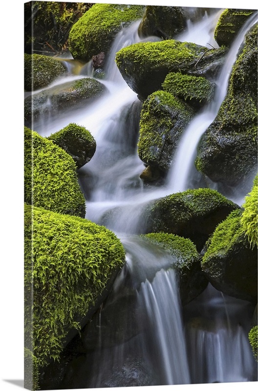 Moss-Covered Rocks With Cascading Water, Denver, Colorado, United ...