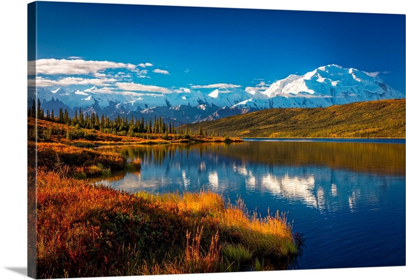 Mount Denali Reflects On Wonder Lake, Denali National Park And Preserve ...