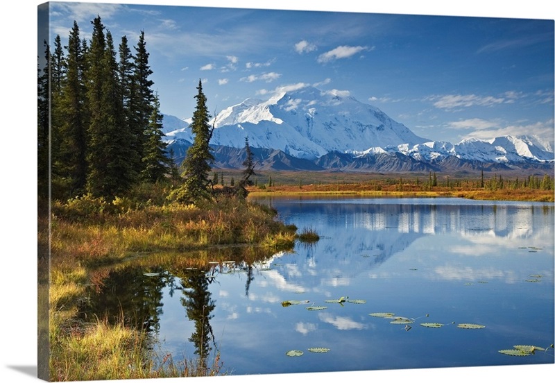 Mt. Mckinley Reflected In Tundra Pond, Denali National Park, Alaska ...