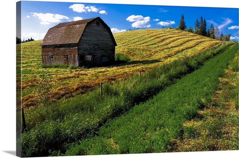 Old Barn In A Field | Great Big Canvas