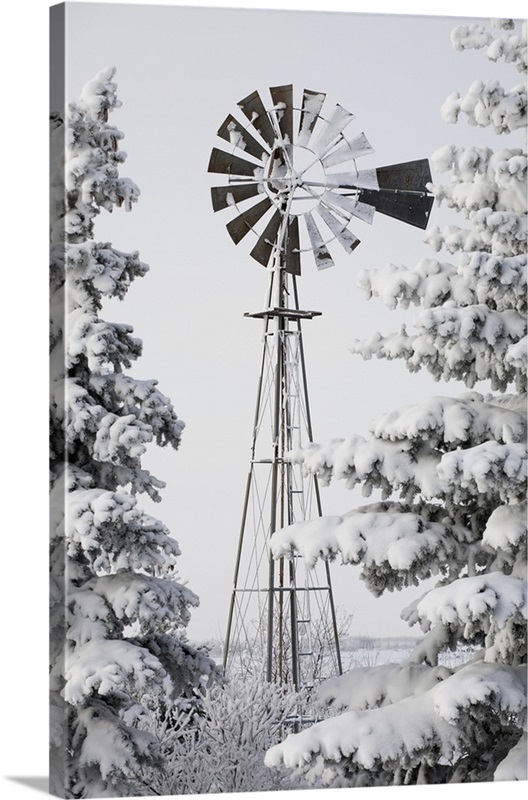 Old Windmill And Trees Covered With Snow And Frost; Calgary, Alberta ...