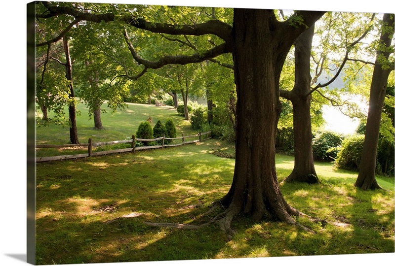 Park with trees, shrubs, lawn and a pond behind the Hoxie House ...