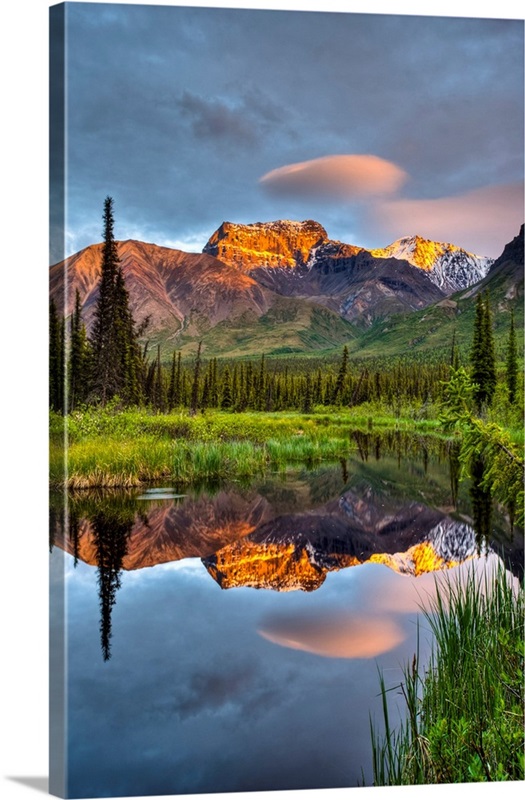 Reflection Of Skookum Volcano In A Pond, Wrangell St. Ellias National ...