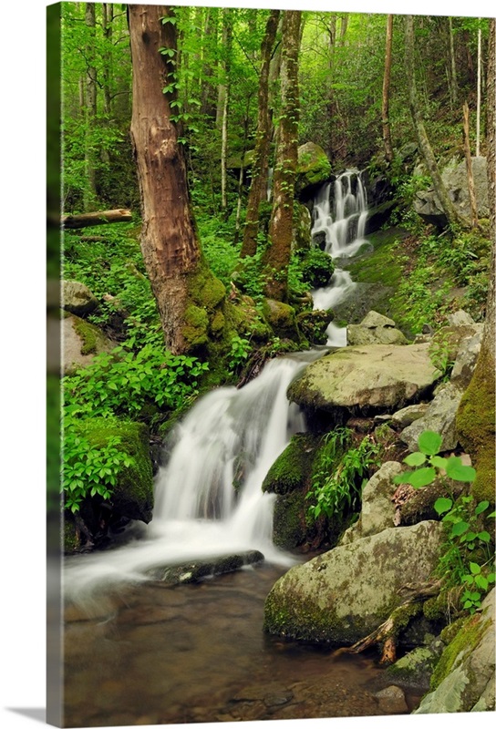 Scenic view of a Smoky Mountains waterfall and forest.; Little River ...