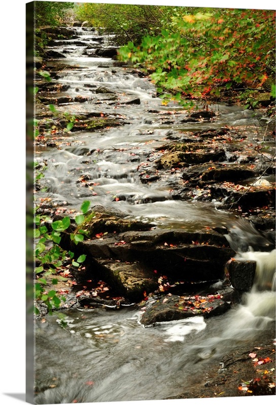 Scenic view of Duck Brook in Acadia National Park in the fall.; Acadia National Park, Mount ...