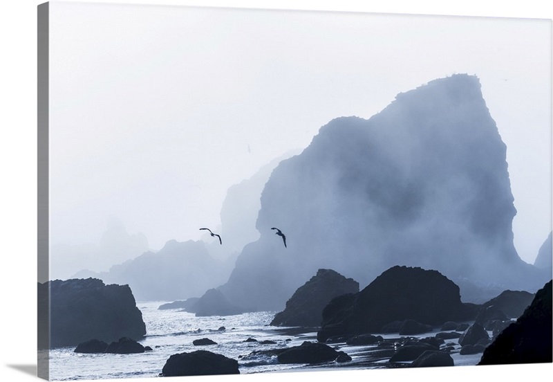 Sea Stacks Are Silhouetted Against Fog At Ecola State Park, Cannon ...