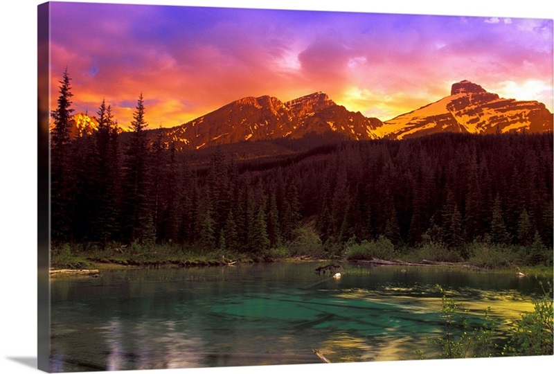 Small Mountain Lake With Submerged Logs, British Columbia, Canada ...
