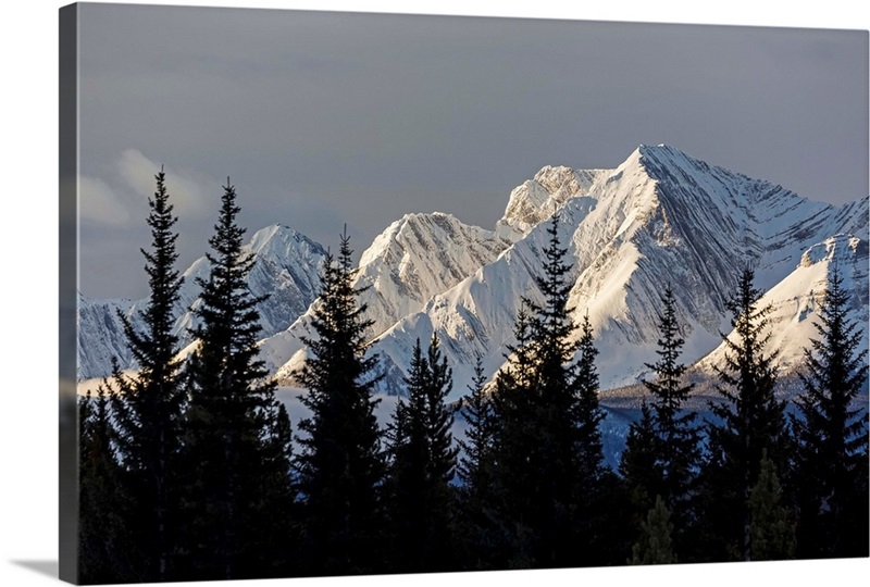 Snow covered mountains with early morning light | Great Big Canvas