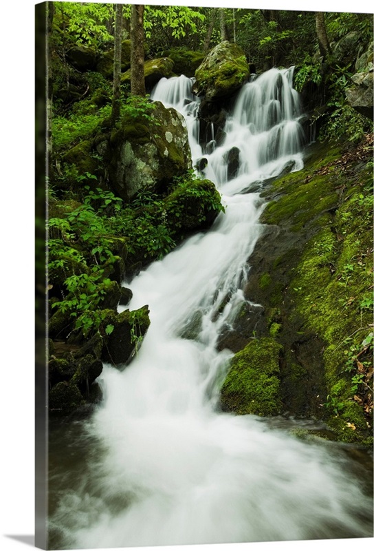 Spring Foliage And A Seasonal Waterfall In The Great Smoky Mountains ...