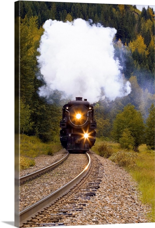 Steam Train On Tracks | Great Big Canvas