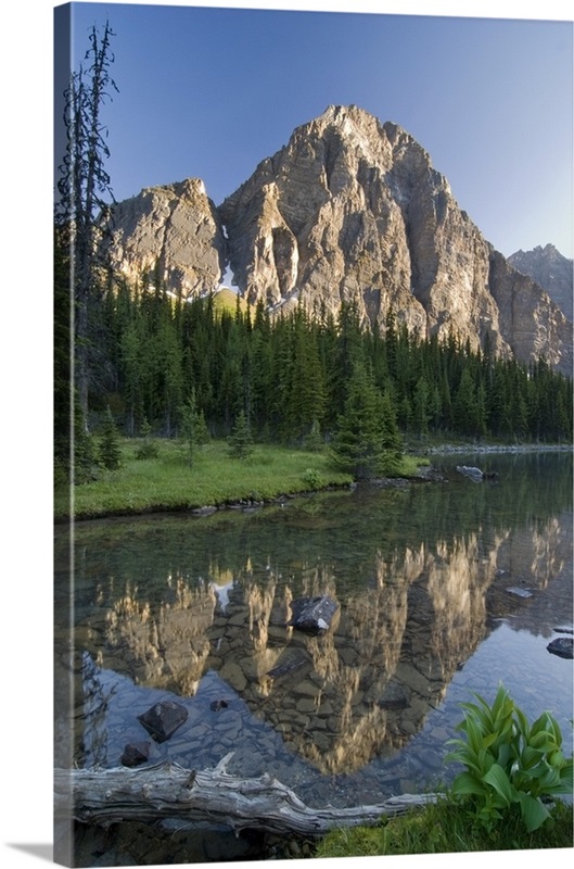 Taylor Lake, Banff National Park, Alberta, Canada | Great Big Canvas
