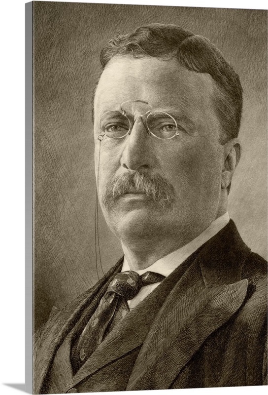 Theodore D. Roosevelt, 1858 To 1919. 26Th President Of The United ...