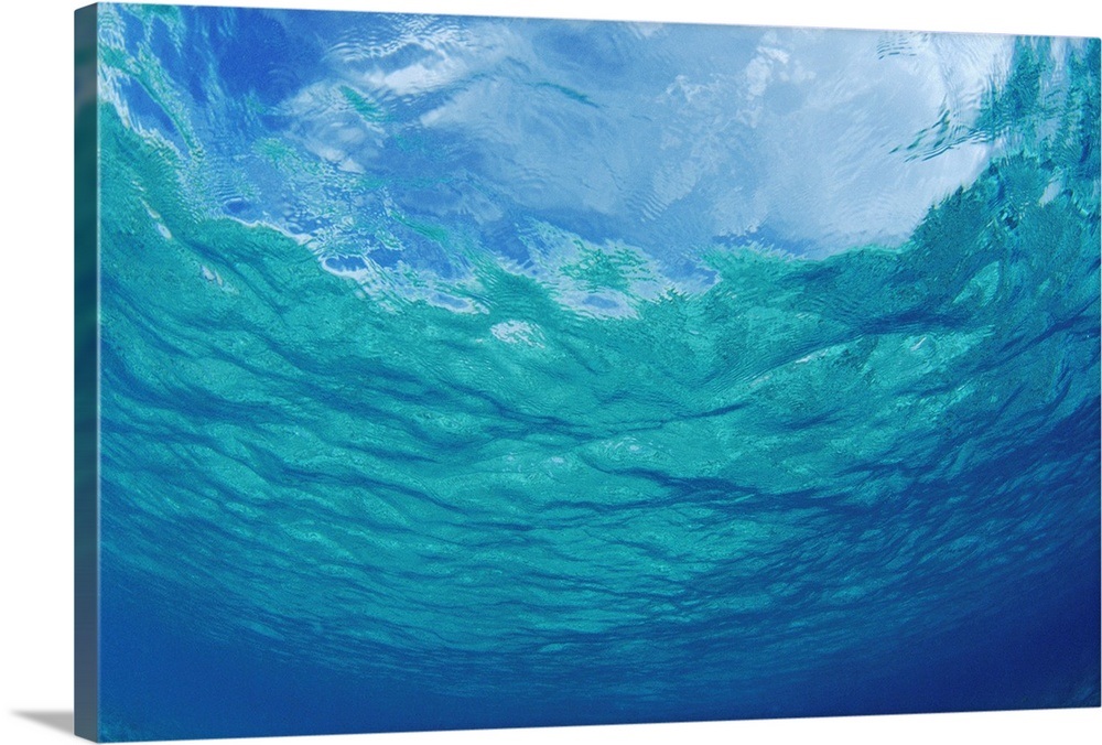 Underwater Ocean Looking Upward To Surface, Blue Sky Reflection Wall ...