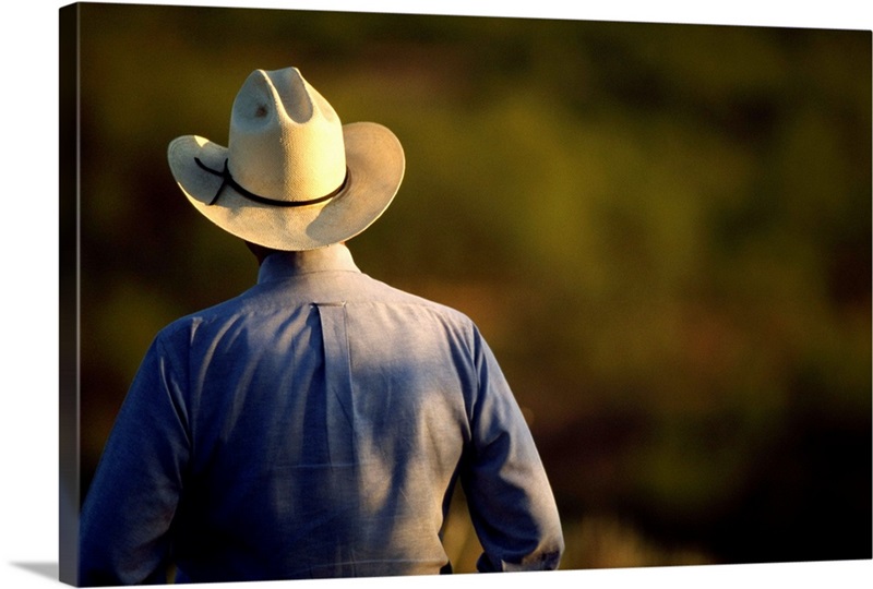 View of a cowboy from behind, Cee Vee, Texas | Great Big Canvas