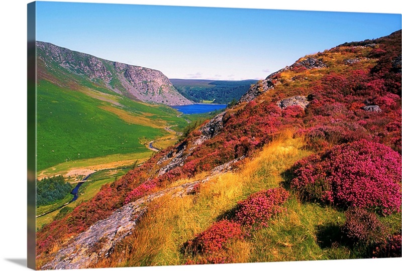 Wicklow Way, County Wicklow, Ireland, Long Distance Walking Trail Near ...