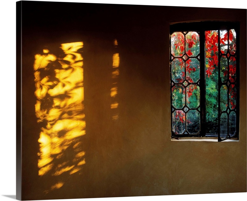 Window With Creeper, Butterstream, Co Meath, Ireland | Great Big Canvas