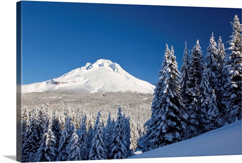 Winter Snow Over The Cascade Range; Mount Hood, Oregon, USA | Great Big ...