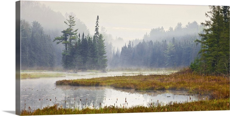 Enchanted Land | Great Big Canvas