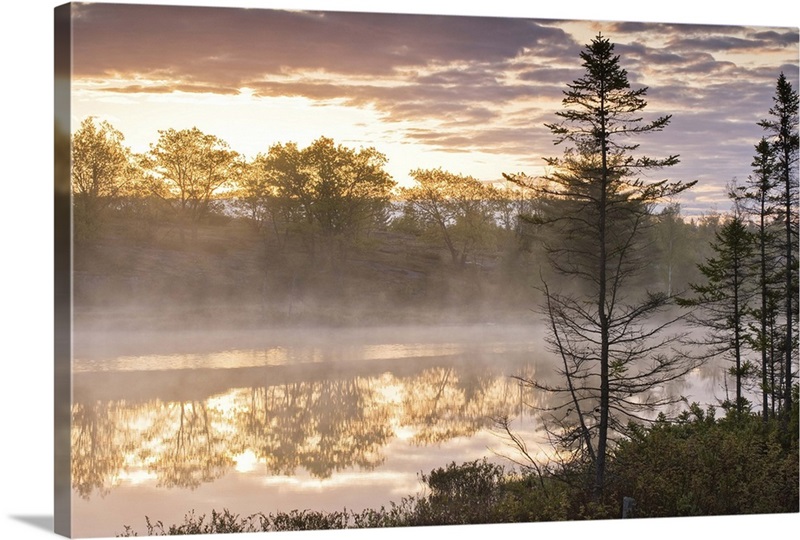 Natures Promise | Great Big Canvas