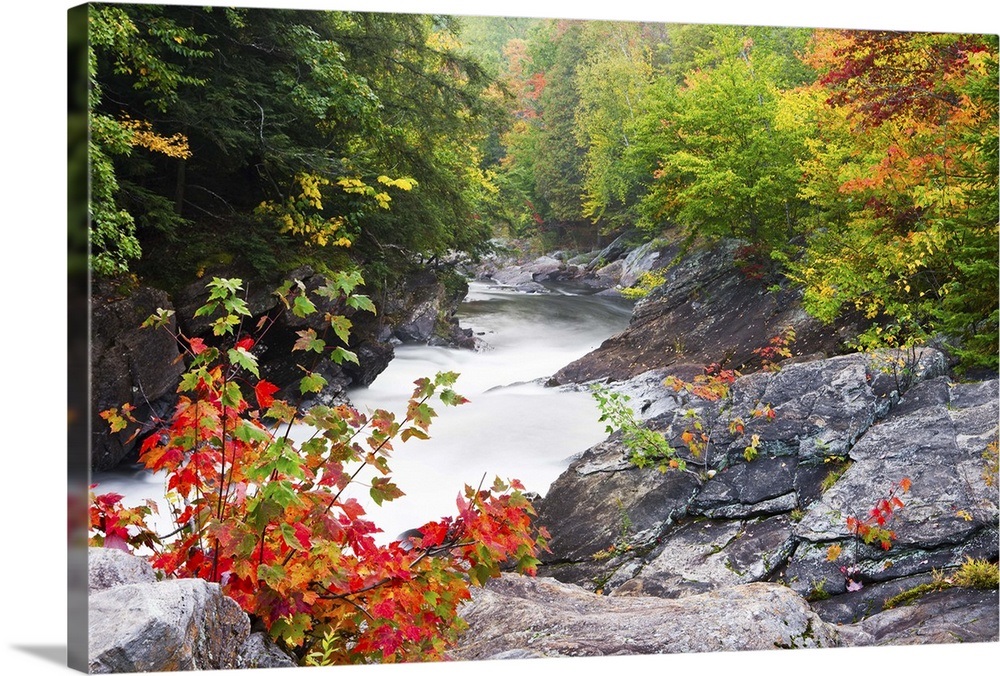 Northern River Wall Art, Canvas Prints, Framed Prints, Wall Peels ...