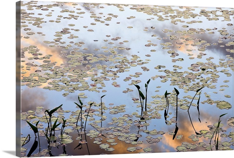 Reflection | Great Big Canvas