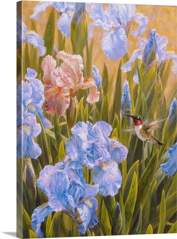 A Summers Dream - Hummingbird And Irises | Great Big Canvas